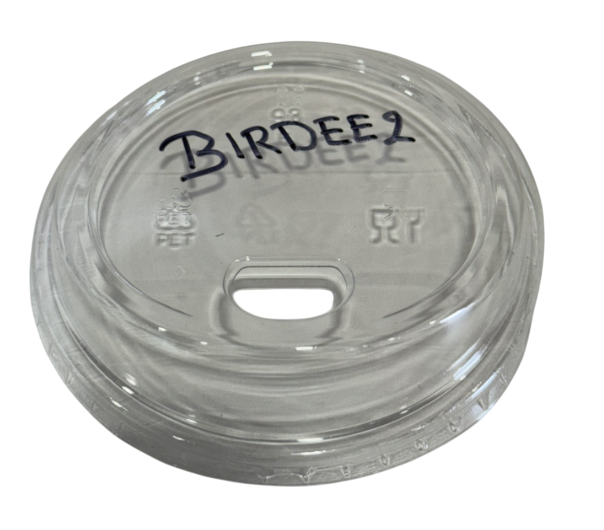 BIRDEE BAKERY - LID FOR COLD CUP 16 OZ CLEAR PET 98 MM (2000) PRINTED